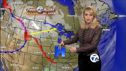 Hally Vogel - WXYZ 7 Detroit - Page 2 - TvNewsCaps